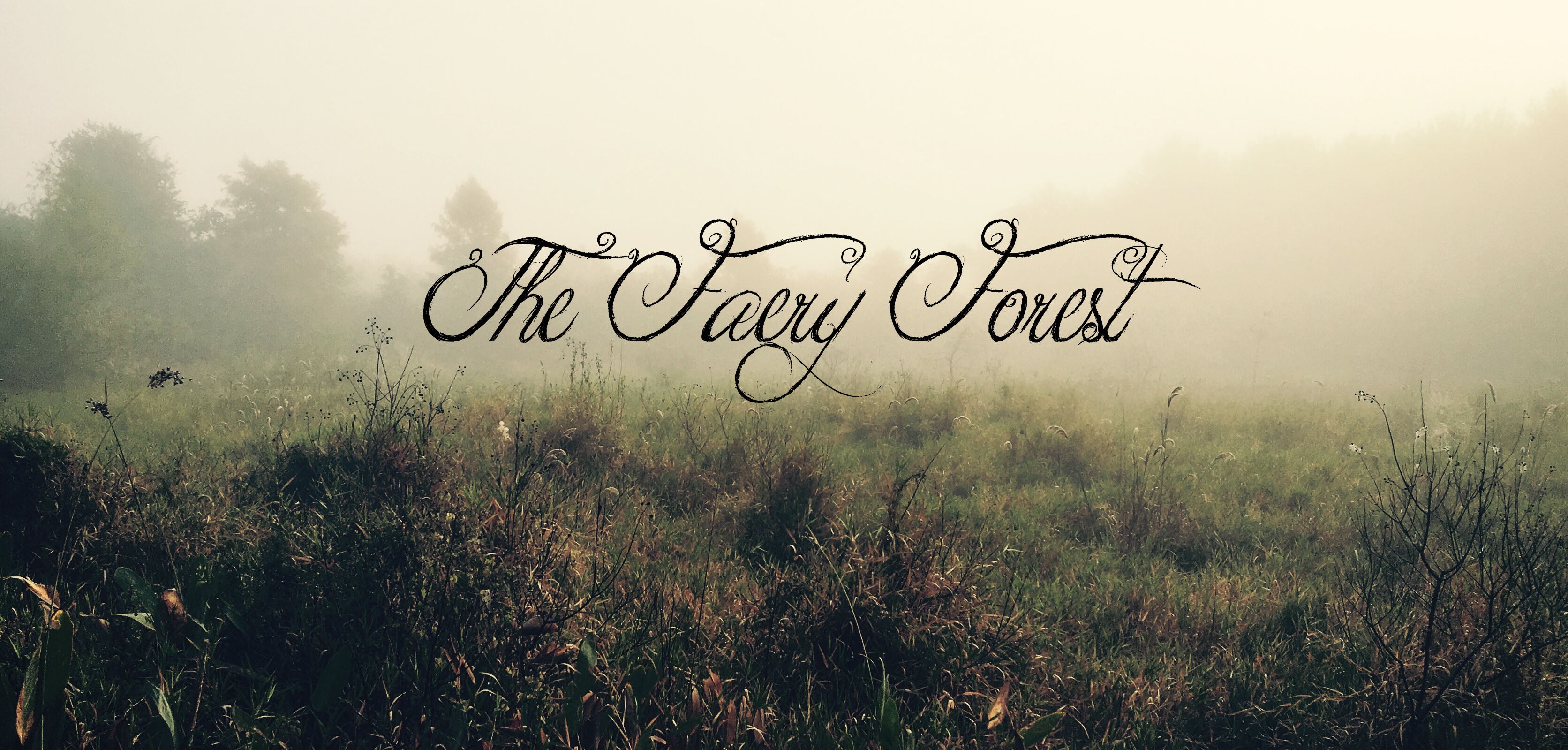 The Faery Forest – the faery forest